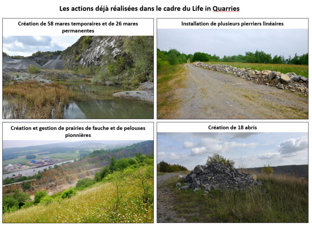 Nos partenaires: Carrières et fours à chaux de Dumont-Wauthier – LHOIST ...