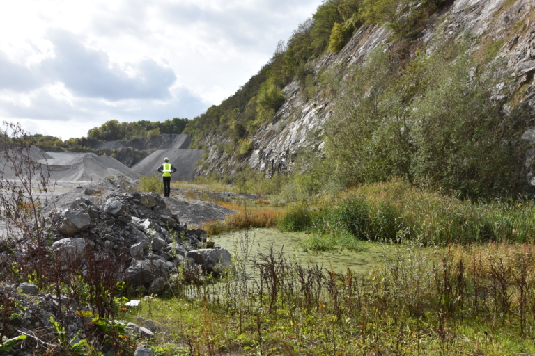 Nos partenaires: Carrières et fours à chaux de Dumont-Wauthier – LHOIST ...