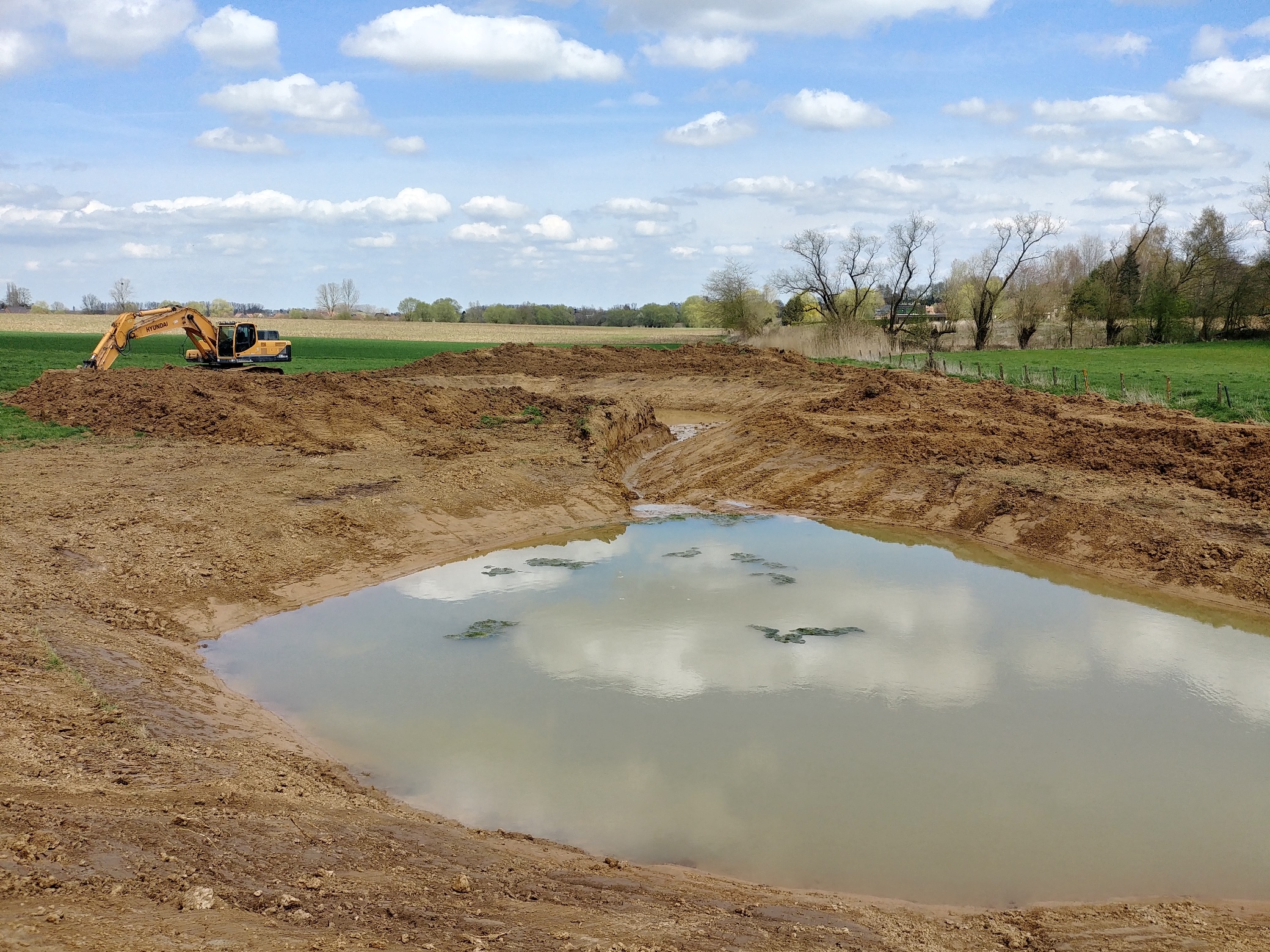 Creation of permanent ponds – Life in Quarries